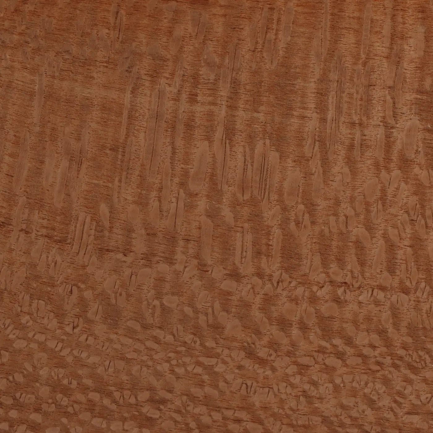 Queensland Silky Oak Timber Veneer 28 - Australian Premier Veneers